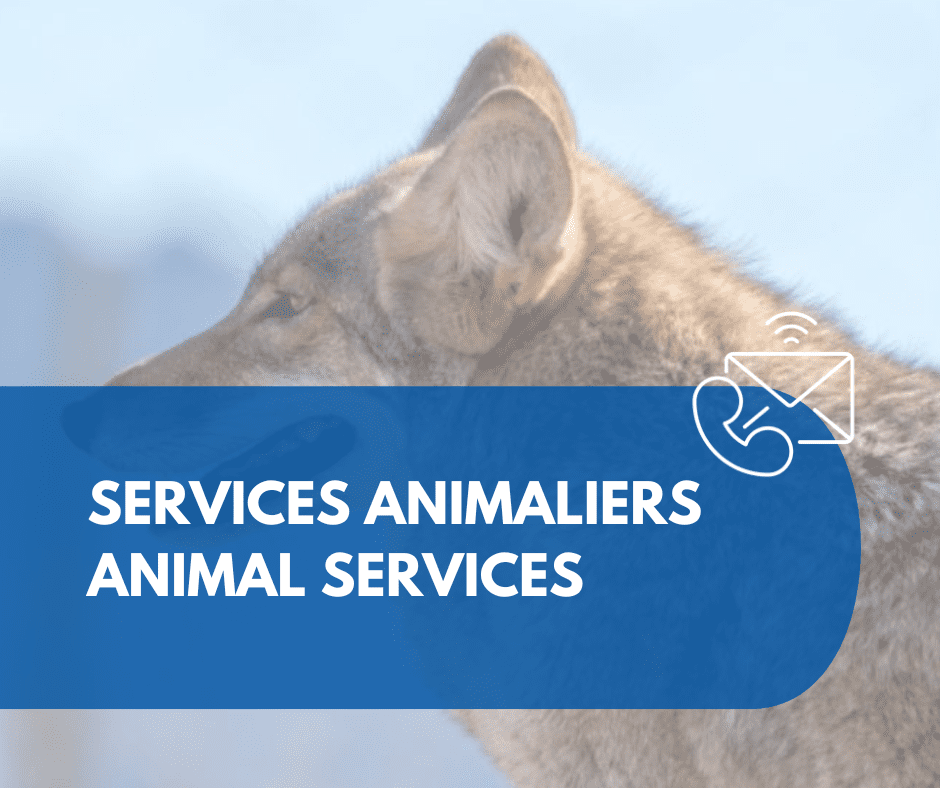 Service animalier - Village de Senneville