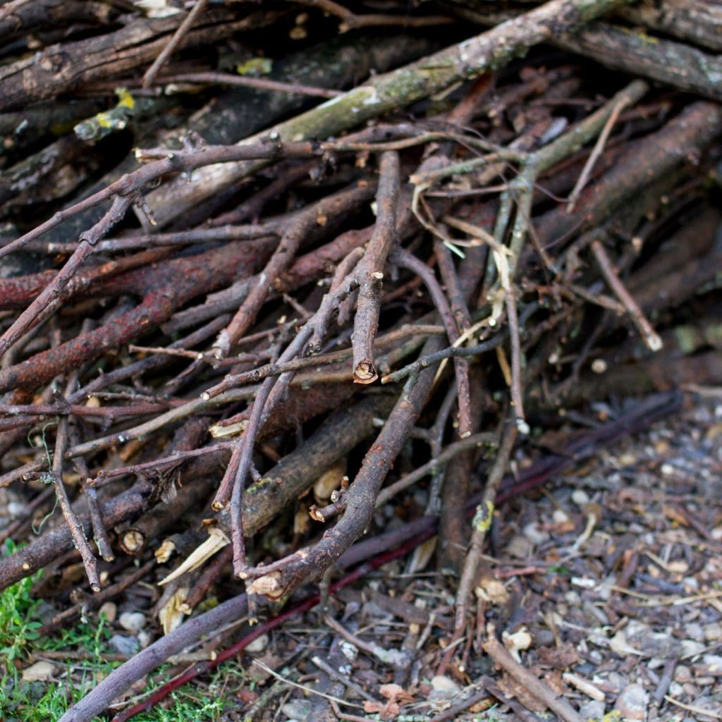 Welcome to the Village of Senneville - Village de Senneville