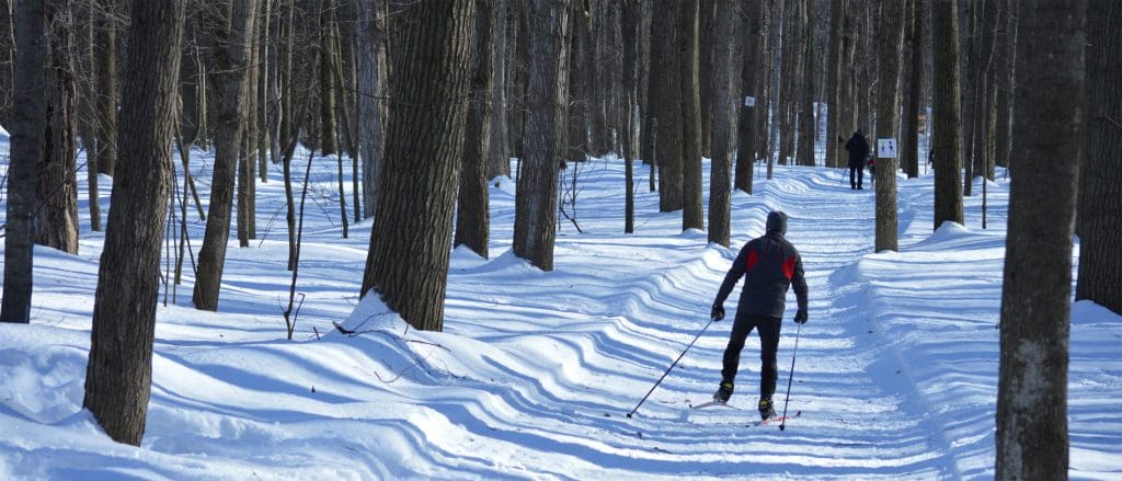 Morgan Arboretum - Village de Senneville